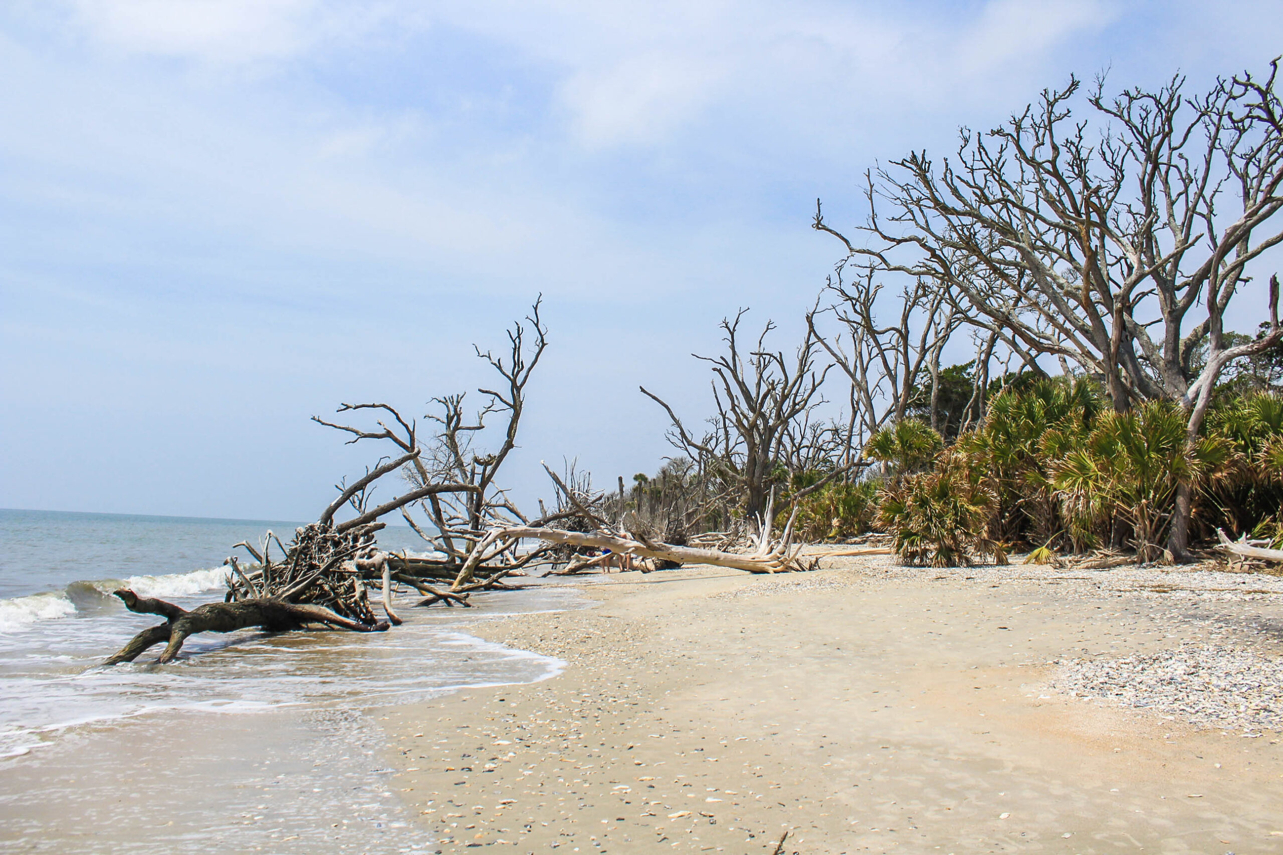 Botany Bay - Saving Time in a Bottle
