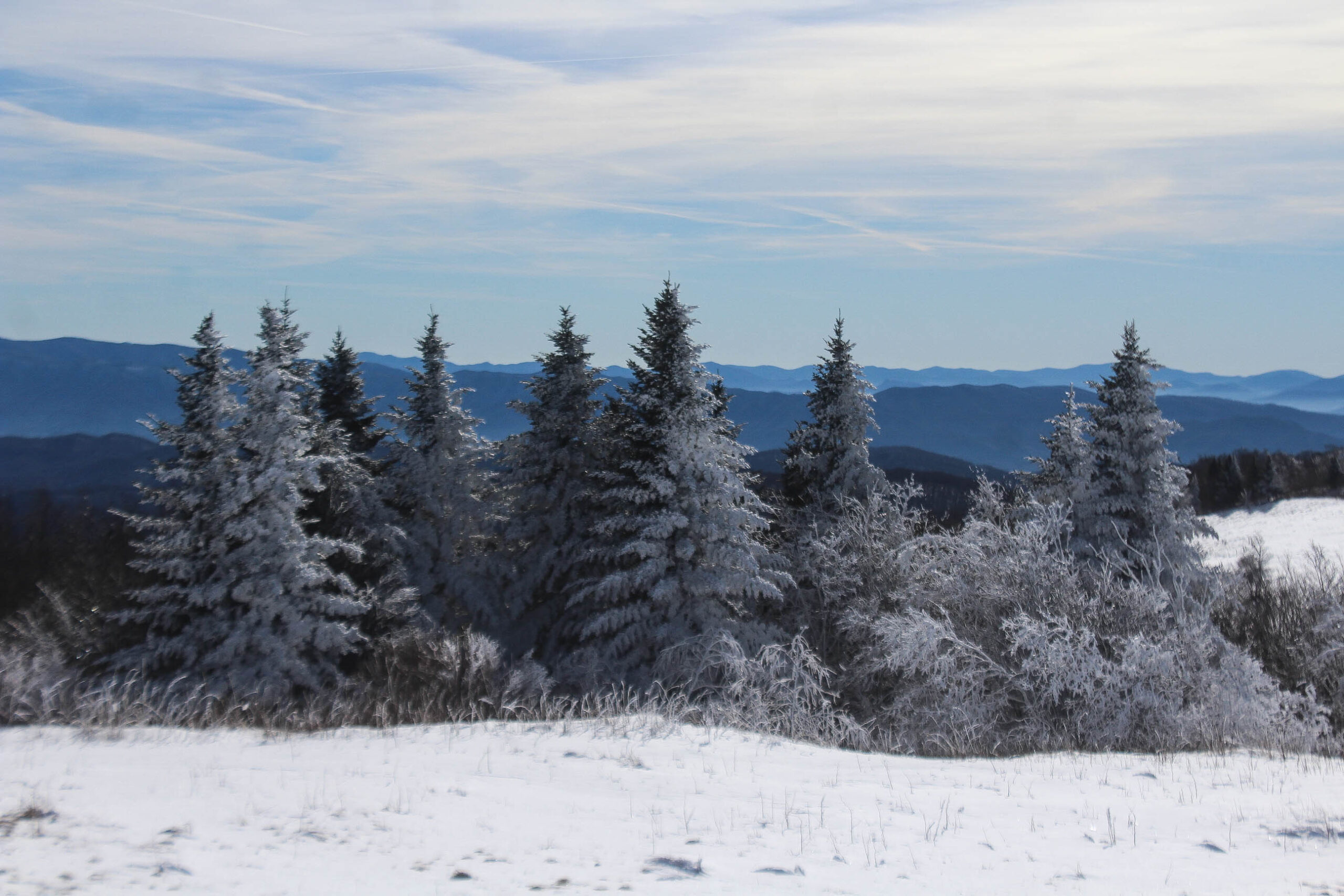 Huckleberry Knob / Falls Branch Trail - Saving Time in a Bottle