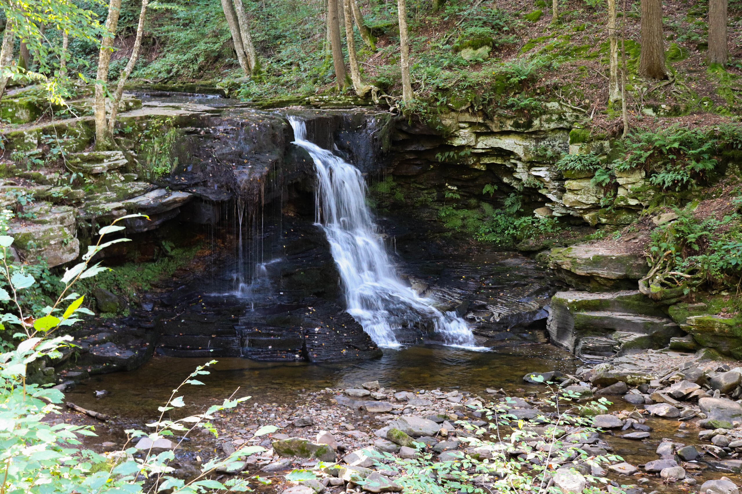 Loyalsock State Forest - Saving Time in a Bottle