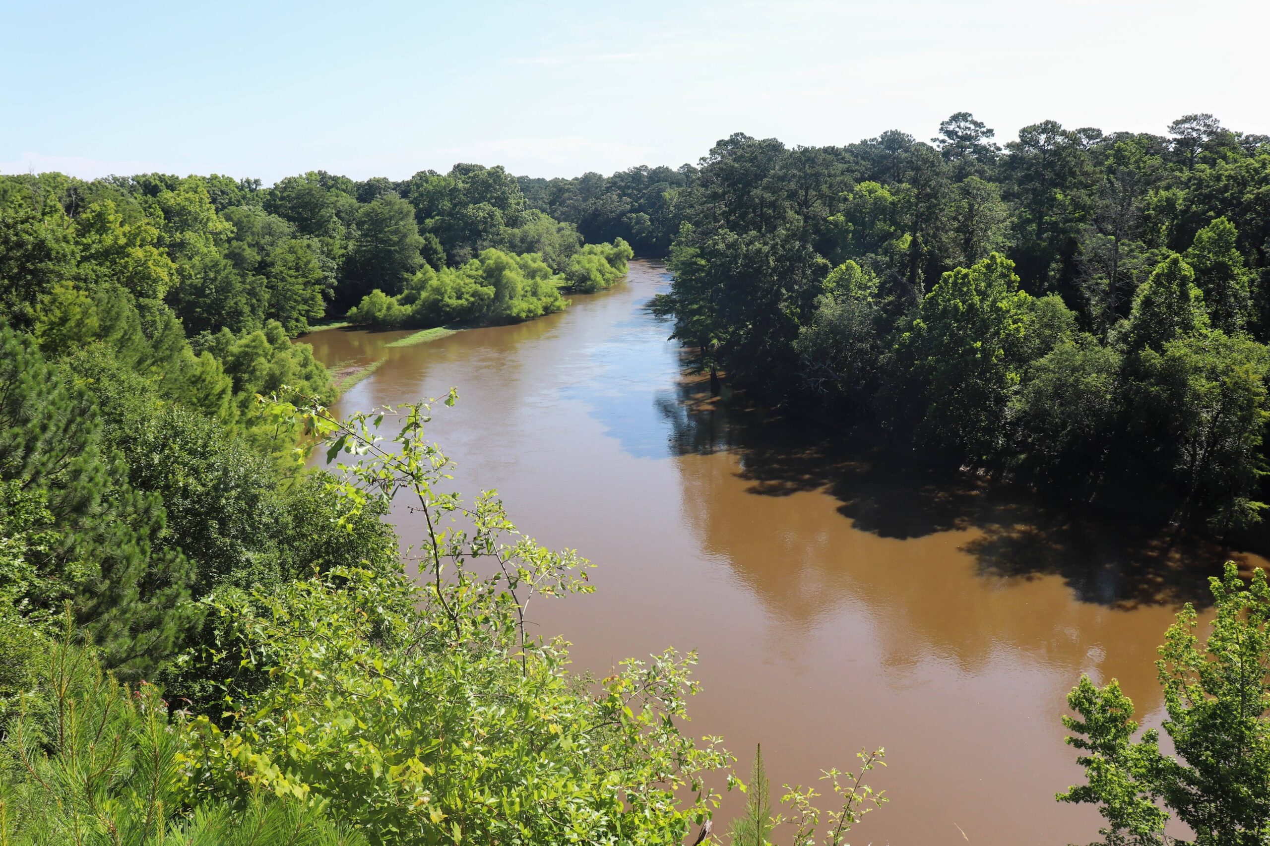 Cliffs of the Neuse State Park - Saving Time in a Bottle